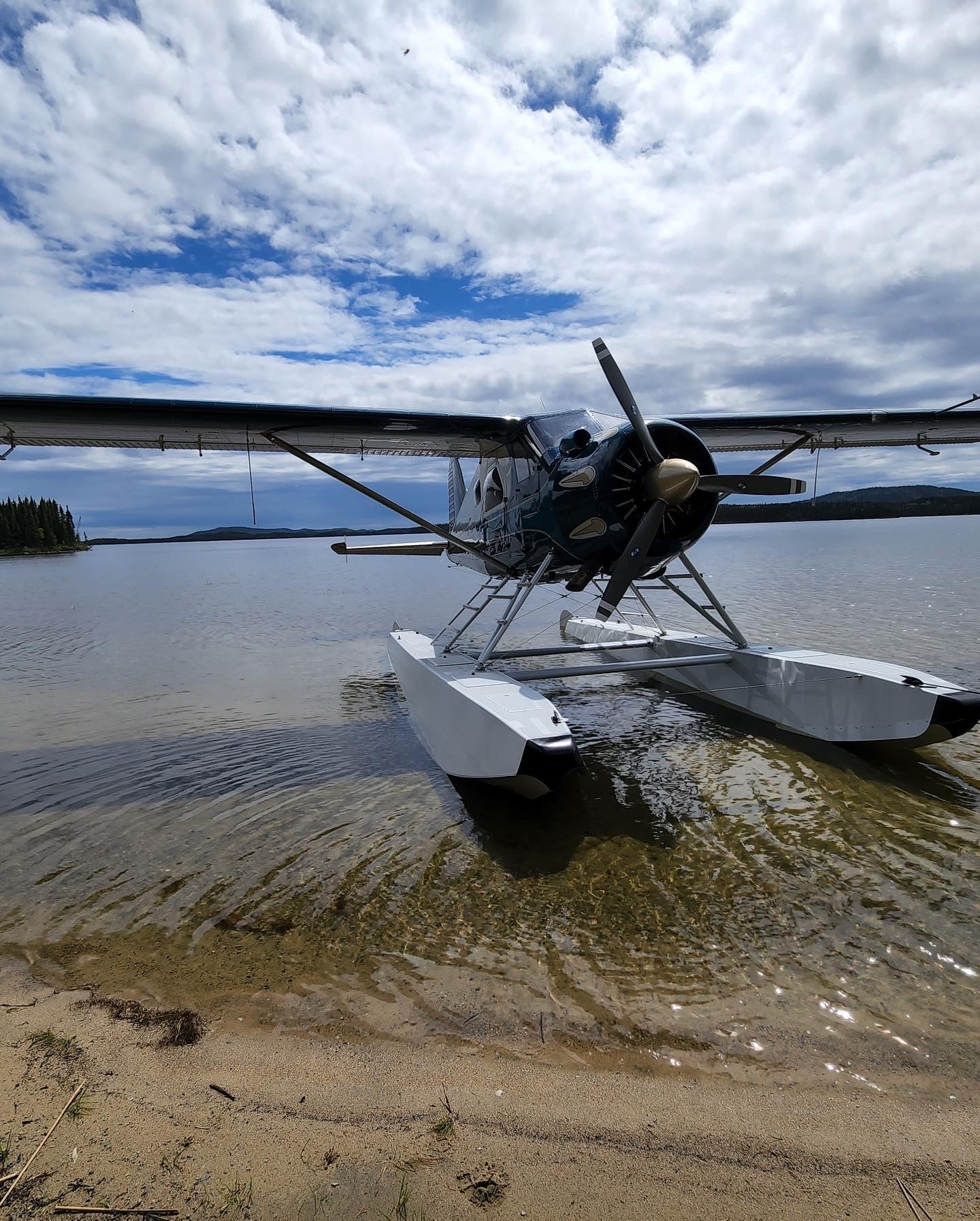 1955 Dehavilland DHC-2 - Canadian Aircraft Sales